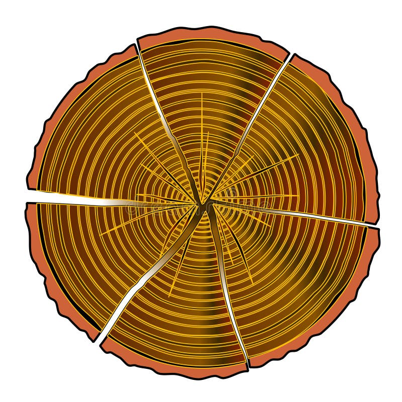 Log End Stock Illustrations – 249 Log End Stock Illustrations, Vectors ...