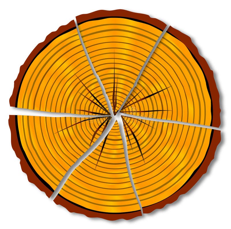 Log End Vector Stock Illustrations – 192 Log End Vector Stock ...