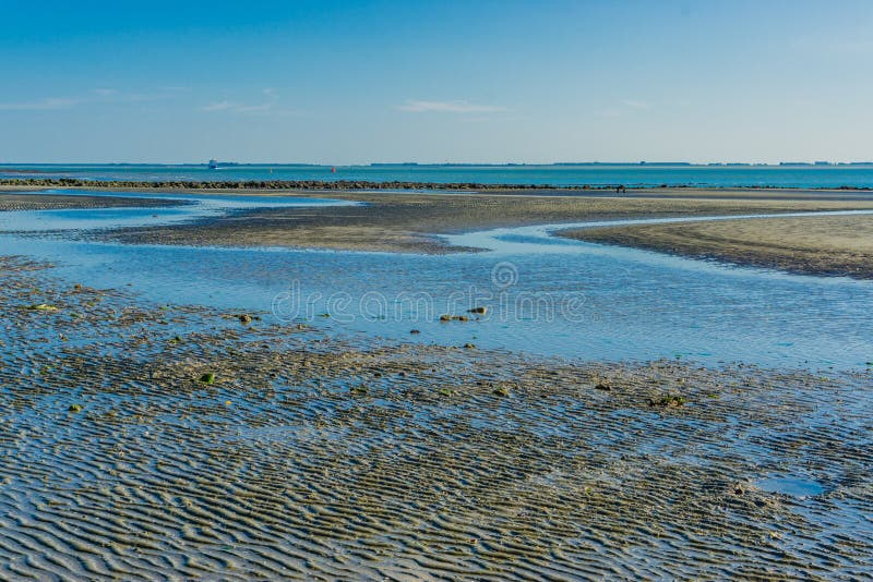 Split Ocean on the Beach Water Landscape Stock Image - Image of puddle ...
