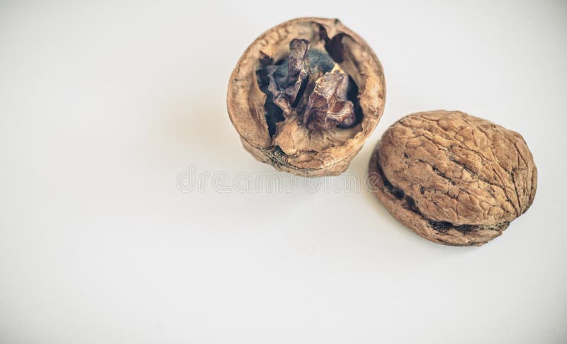 Split Old Walnut on White Isolate, Place Under the Inscription Stock ...