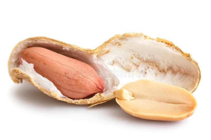 Split Open Peanut Shells with Nuts Visible Stock Photo - Image of ...