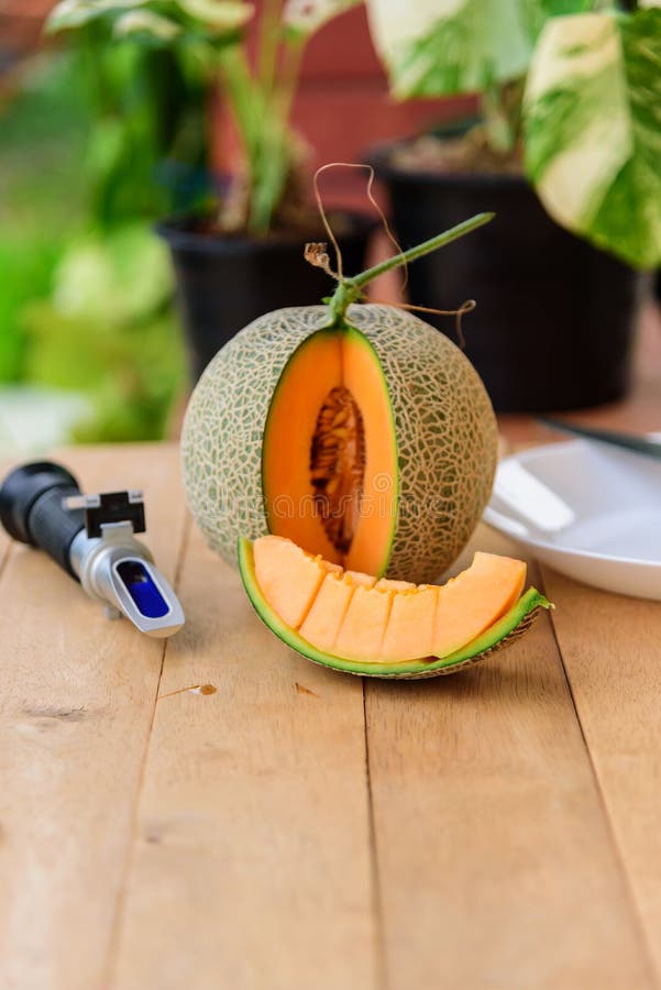 Split the Orange Melon on Wood Plate Stock Image - Image of vegetarian ...