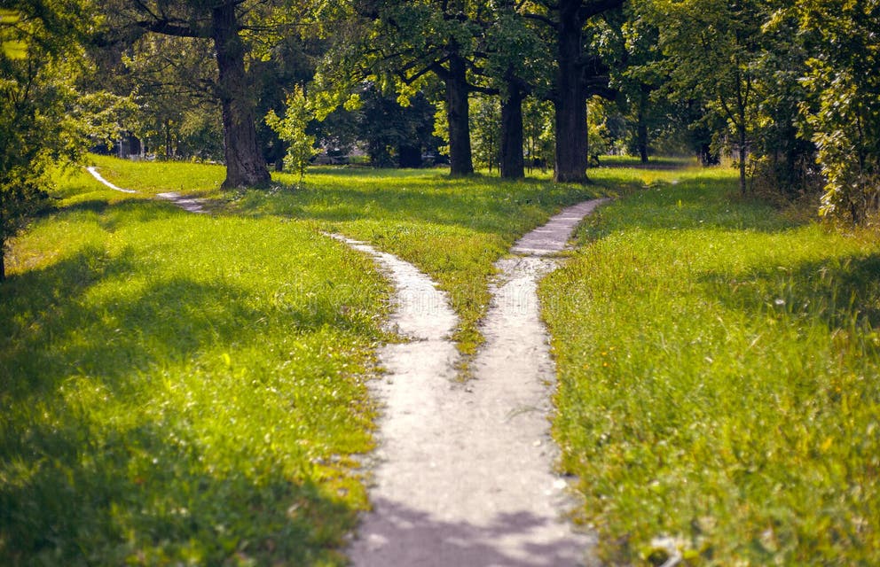 Split paths in the Park stock photo. Image of purpose - 100234542