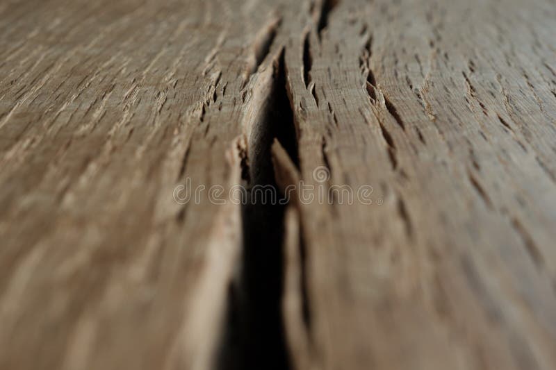 Split in a Plank of Oak with Differential Focus Stock Image - Image of ...