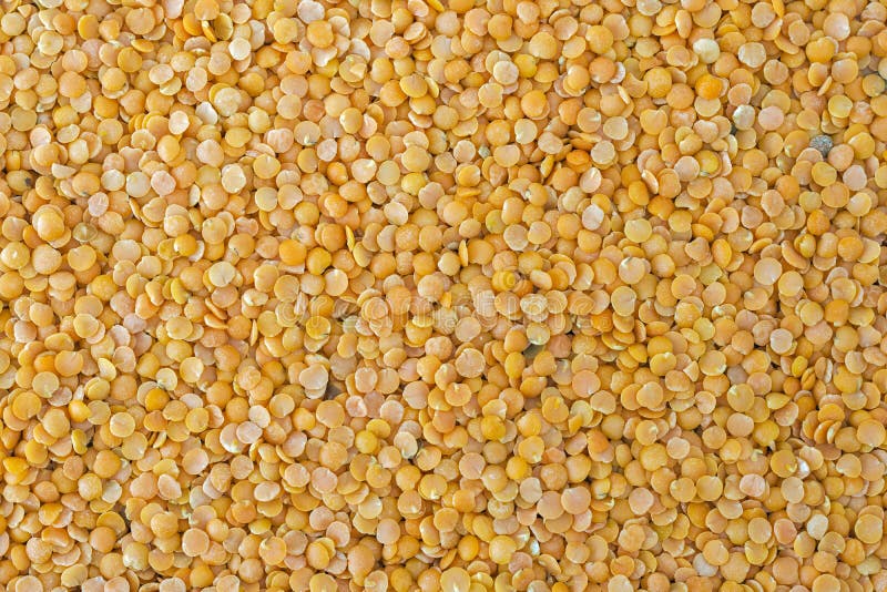 Split red lentils stock image. Image of pulse, nutritious - 76216751