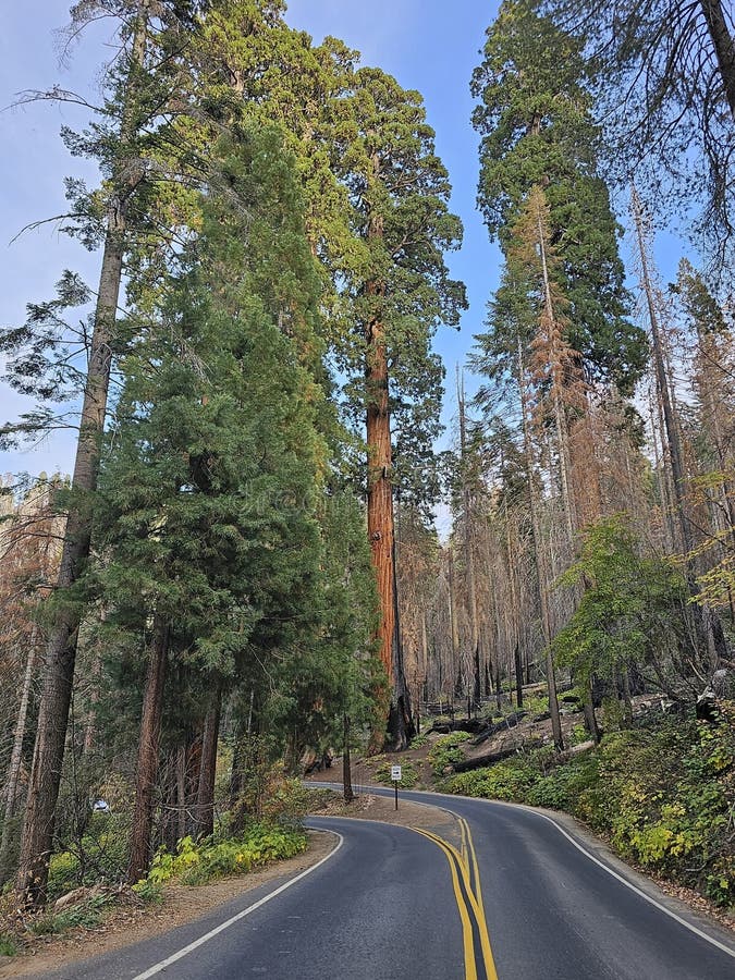 Split in the Road at Harriman State Park, New York, USA Stock Photo ...