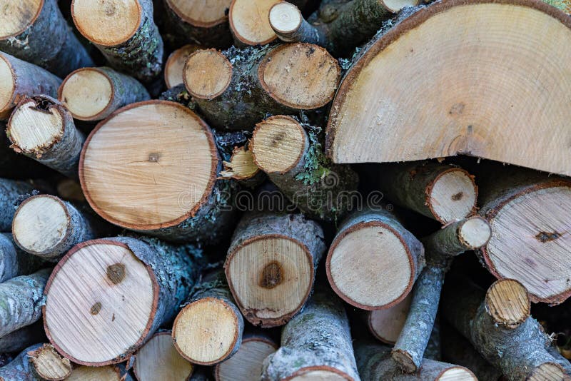 Split and Round Firewood Stack Close View Stock Image - Image of ...