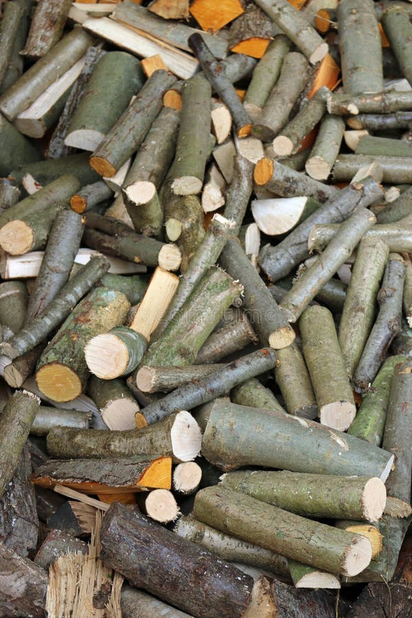 Firewood log stack stock photo. Image of drying, arboriculture - 63312018