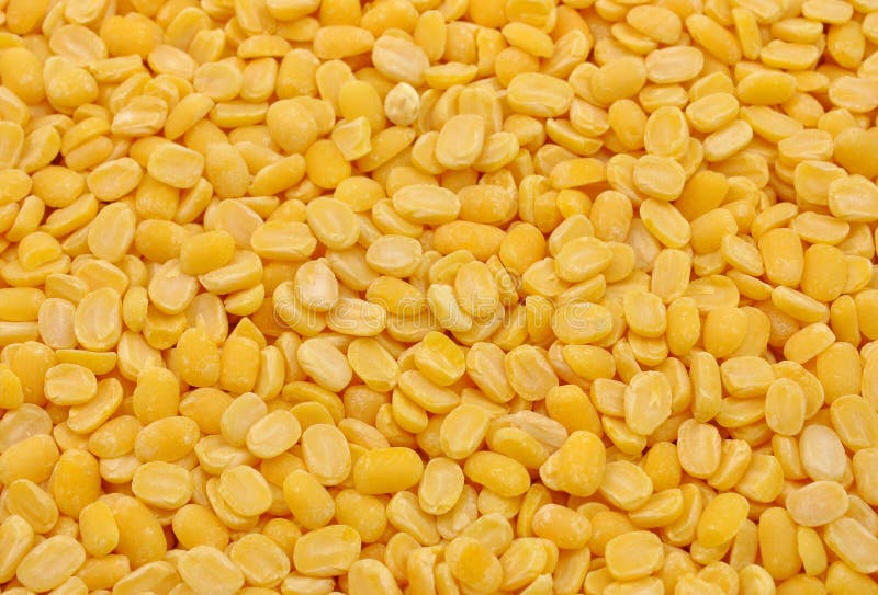 Split Husked Seeds of Bengal Gram Stock Image - Image of dried, pulse ...