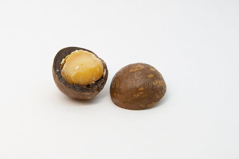 Royal Macadamia Logo Stock Photos - Free & Royalty-Free Stock Photos ...