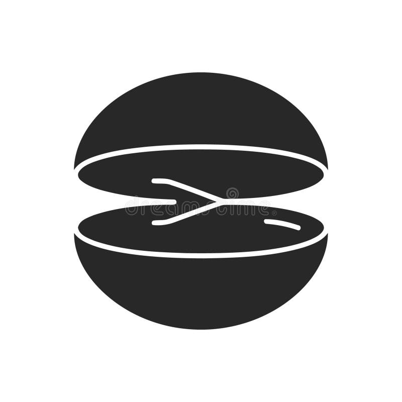 Split Shell Icon stock illustration. Illustration of marine - 361759397