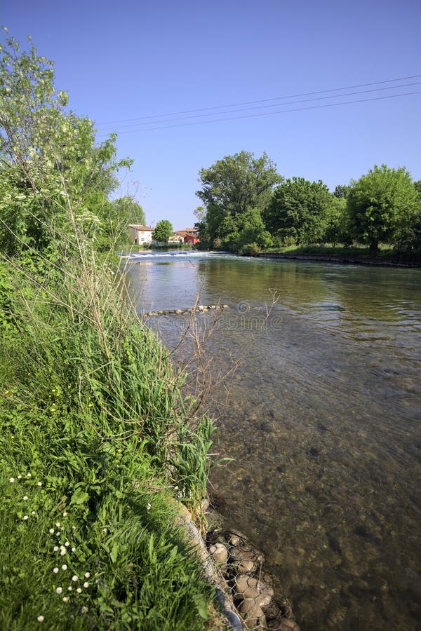 Split between two trails stock photo. Image of park - 381645756