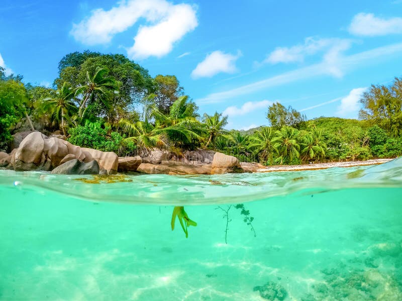 Split Underwater View of Anse Severe Beach Stock Photo - Image of palm ...