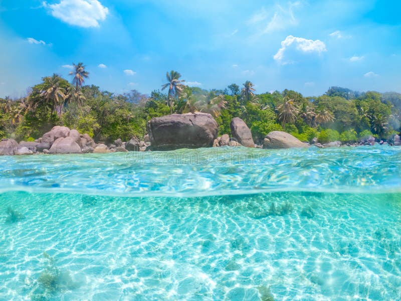 Split Underwater View of a Tropical Beach Stock Image - Image of island ...