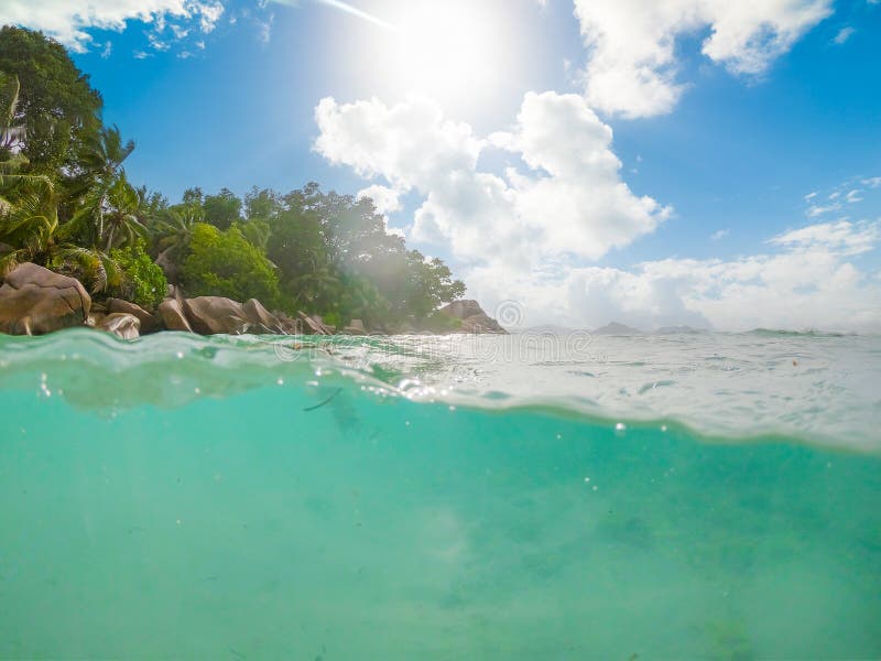 Split Underwater View of a Tropical Beach Under a Shining Sun Stock ...