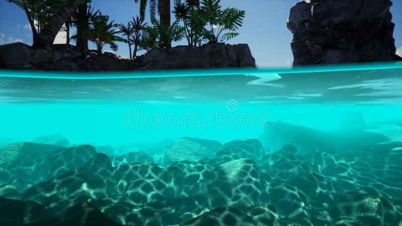 Split View Cross Section of Sea Water and Palm Trees on Island 11 Stock ...