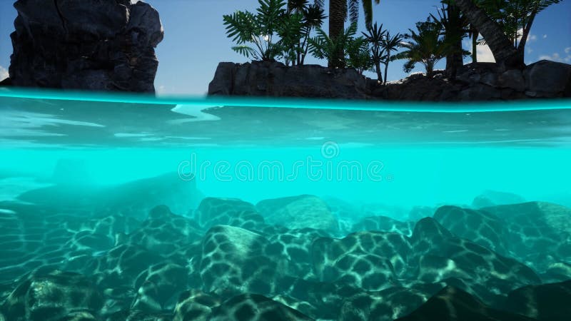 Split View Cross Section of Sea Water and Palm Trees on Island 20 Stock ...
