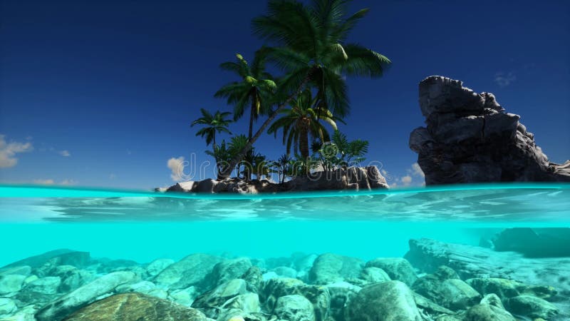 Split View Cross Section of Sea Water and Palm Trees on Island 4 Stock ...