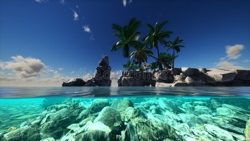 Split View Cross Section of Sea Water and Palm Trees on Island Stock ... Split View Cross Section of Sea Water and Palm Trees on Island Stock ...