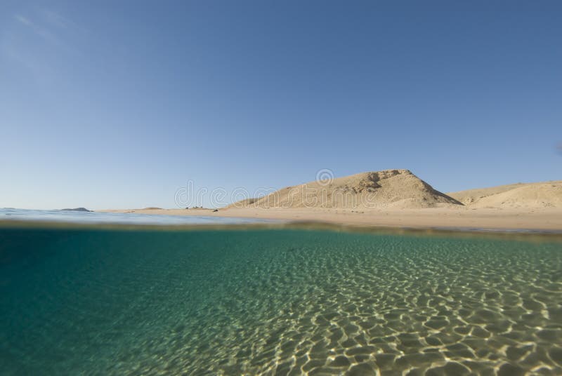 Split View with Sky and Beautiful Coral Reef Underwater Stock Photo ...
