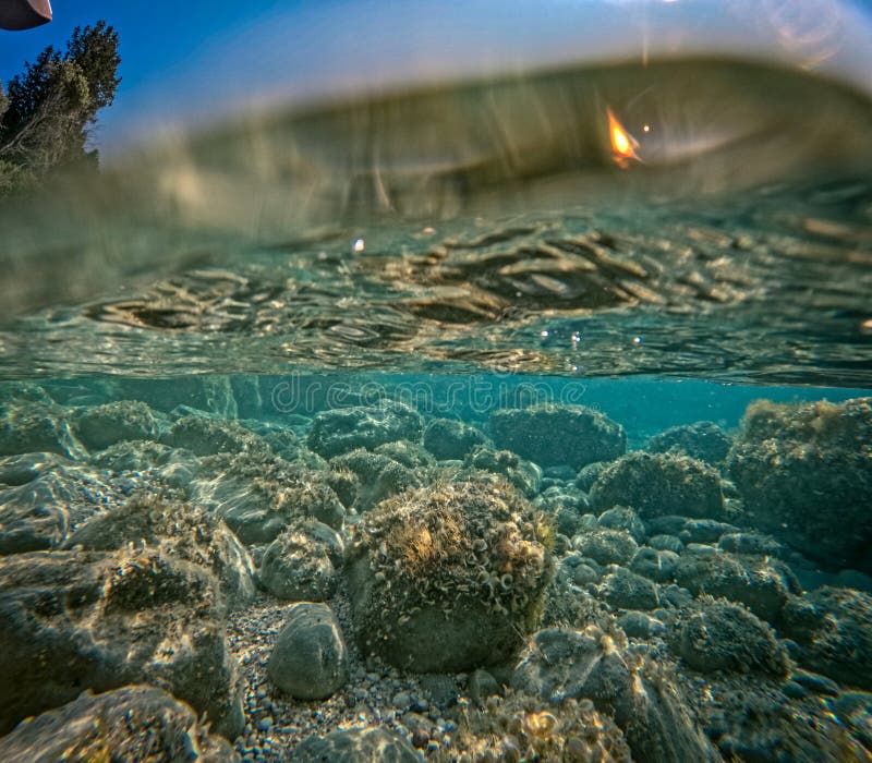Split View of Rocky Seabed with Clear Water Above and Blue Sky with Sun ...