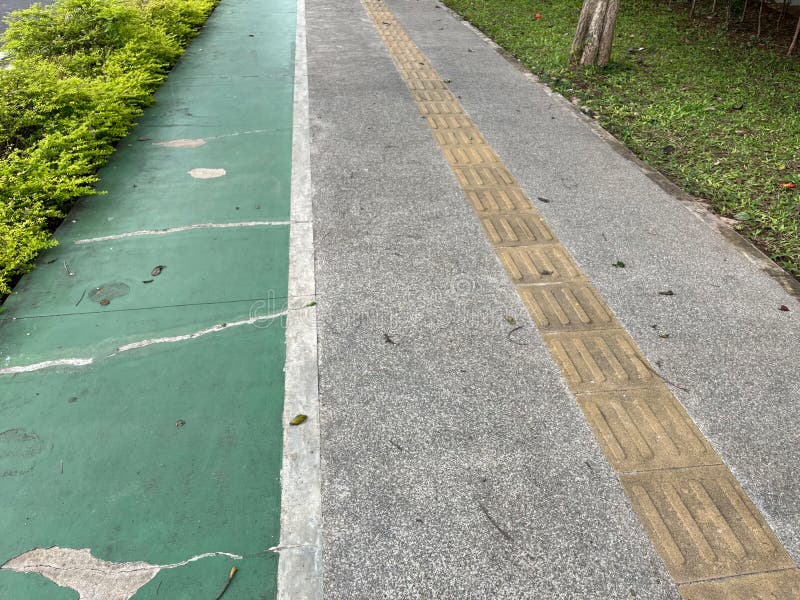 A Split Walkway Featuring a Green Path and a Textured Gray Path for ...