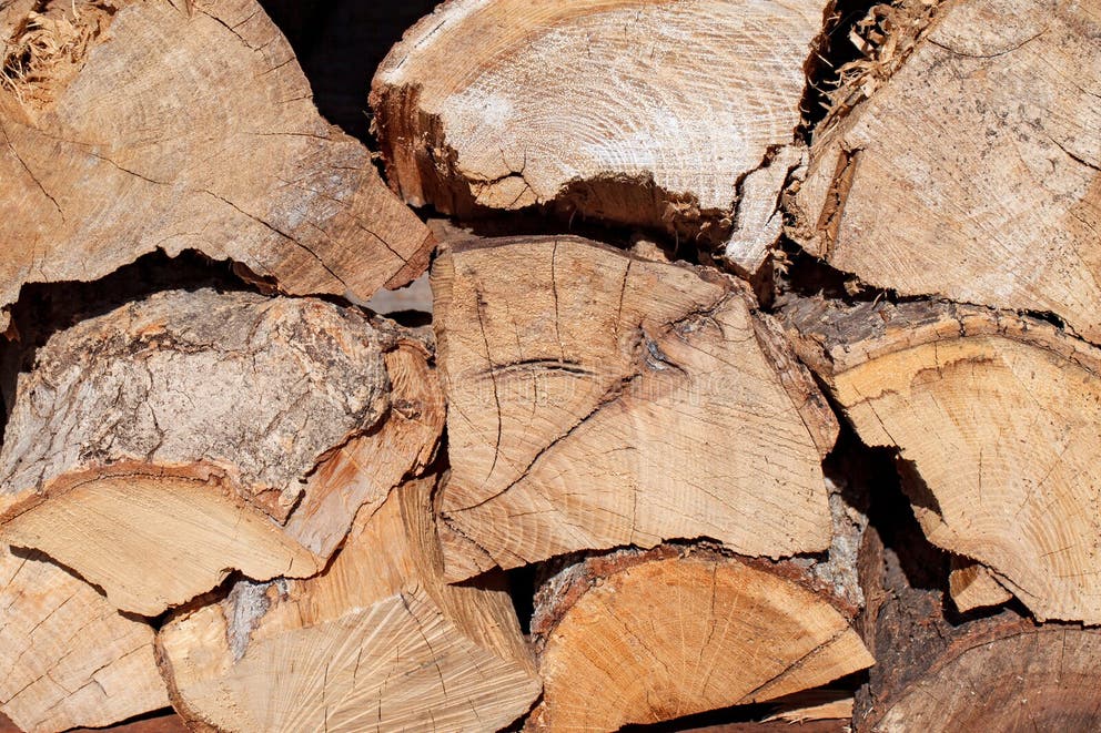 Split Wood from Trees, Ends of Logs Stacked, Close-up Stock Image ...