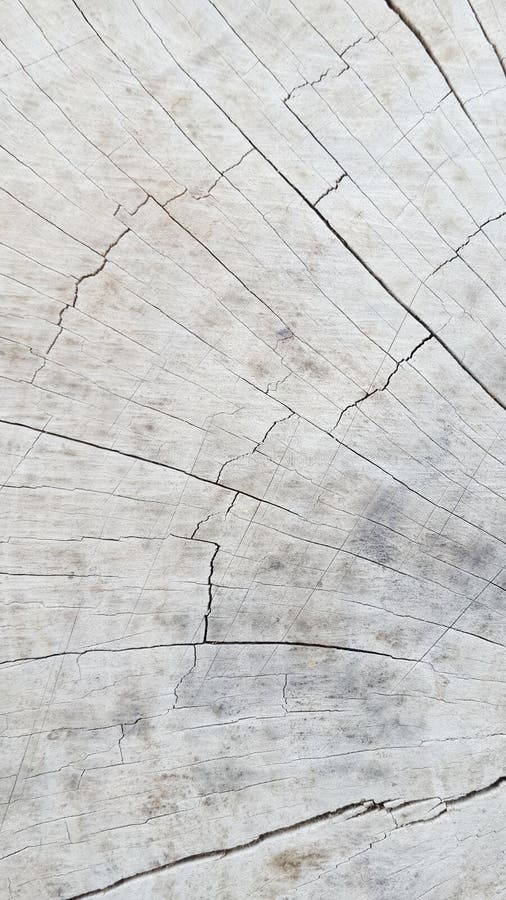 Splits and Cracks in the Timber Wallpaper Stock Photo - Image of ...