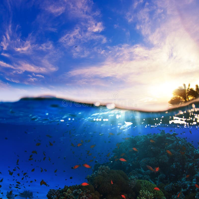 Splitted Underwater Sunset Wet Template Stock Image - Image of depth ...