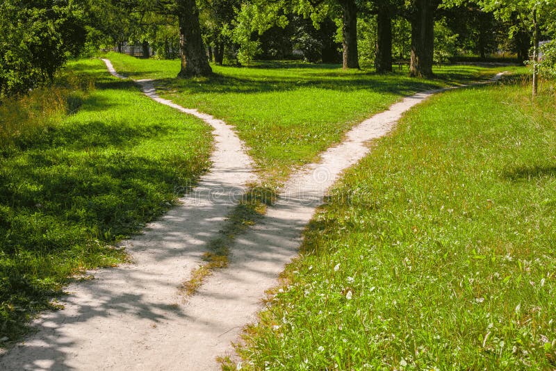 A Footpath in the Grass Divides into Two Paths that Diverge in ...