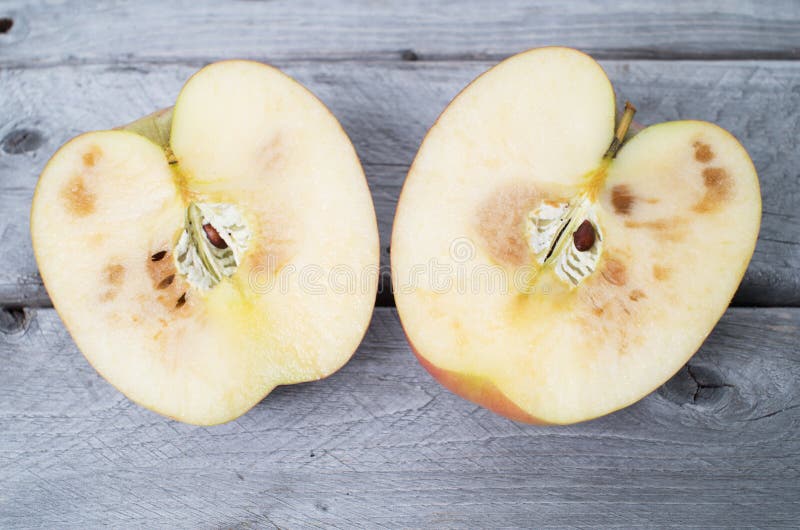 Spoiled apple stock photo. Image of spoiled, closeup - 46325148
