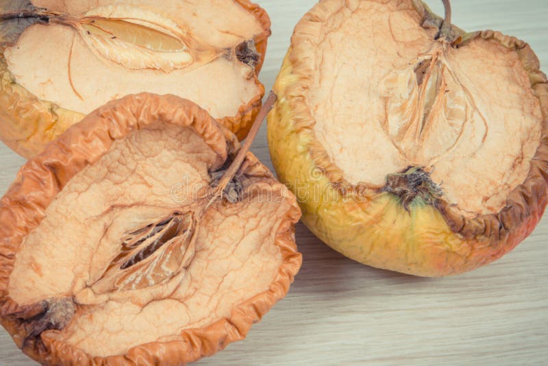 Spoiled Apple with Mold Unhealthy and Disgusting Fruit Stock Image ...
