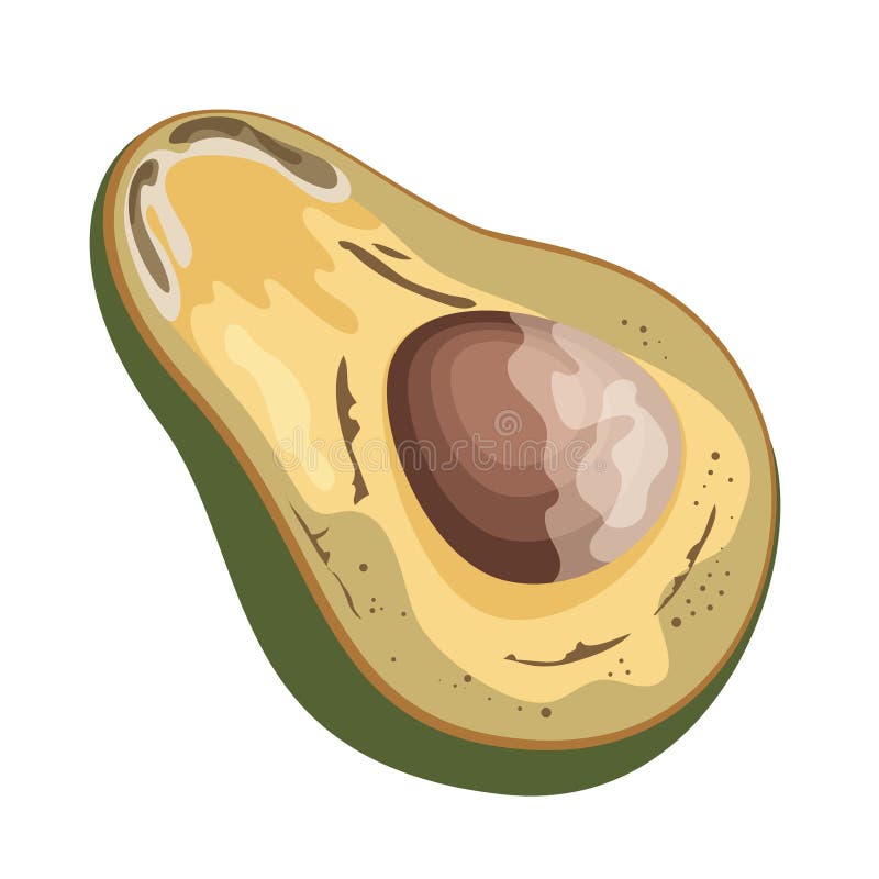 Spoiled avocado fruit stock vector. Illustration of environment - 303582666 Spoiled avocado fruit stock vector. Illustration of environment - 303582666