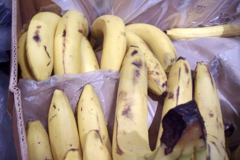 Spoiled Bananas with Spots in a Box in a Store Stock Photo - Image of ...