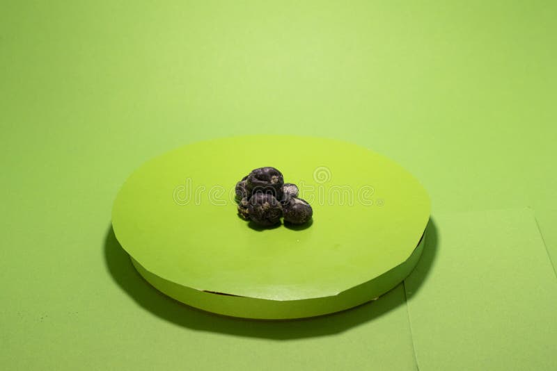 Rotten Blueberry Isolated Stock Photos - Free & Royalty-Free Stock ...