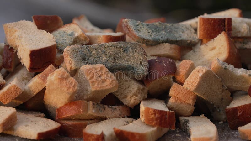 Spoiled Breads in the Trash, Bread Waste Stock Video - Video of food ...