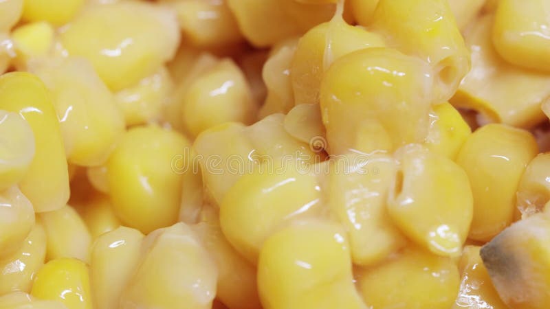 Spoiled Canned Corn with White Mold and Slime Stock Video - Video of ...