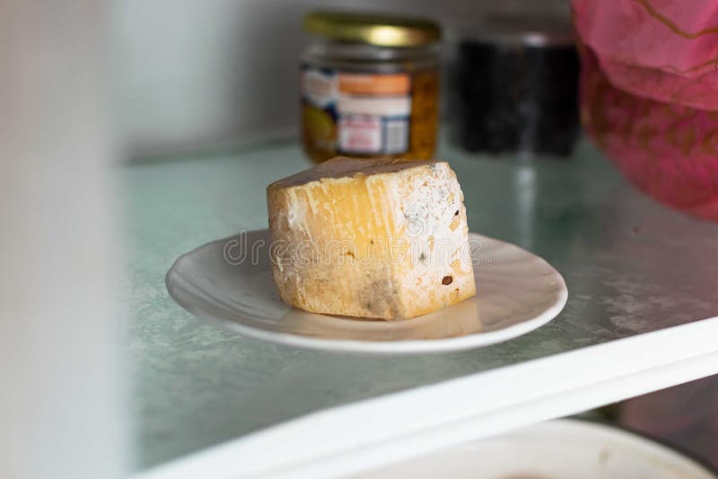 Spoiled Cheese Covered with Mold on a Shelf in the Refrigerator Stock ...