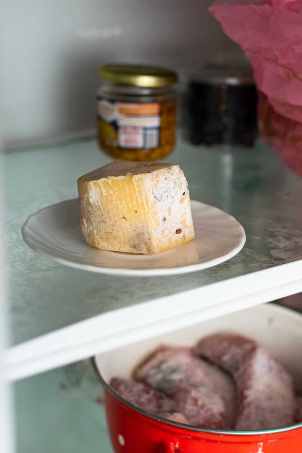 Spoiled Cheese Covered with Mold on a Shelf in the Refrigerator Stock ...