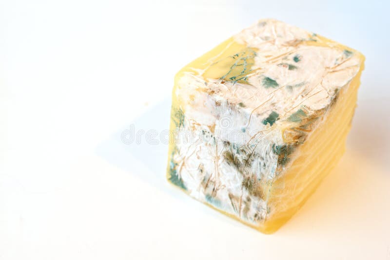 Spoiled Cheese Covered with Mold on a Shelf in the Refrigerator Stock ...