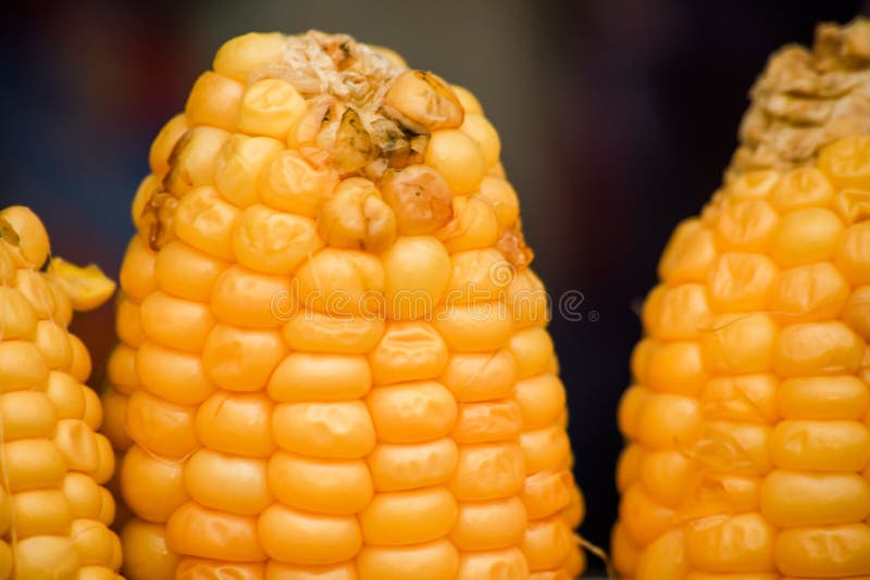 Rotting Corn Macro Stock Photos - Free & Royalty-Free Stock Photos from ...