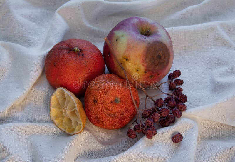 4,837 Spoiled Fruit Photos - Free & Royalty-Free Stock Photos from ...