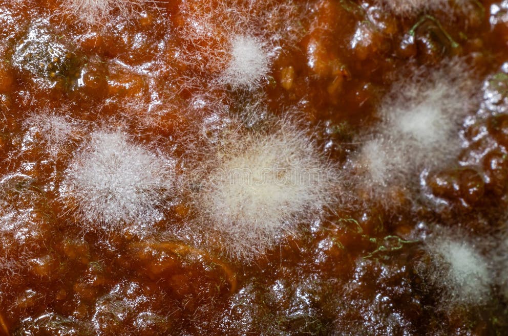 Spoiled Jam Covered with Mold Stock Image - Image of macro, texture ...