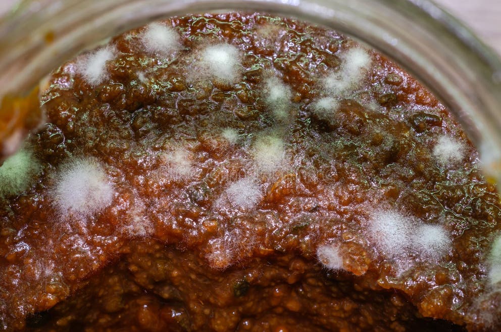 Spoiled Jam Covered with Mold Stock Image - Image of fungi, grey: 299978341