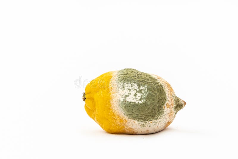 1,044 Spoiled Citrus Stock Photos - Free & Royalty-Free Stock Photos ...