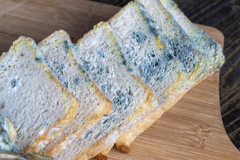 Spoiled Mold-covered Dangerous Pieces of Bread Stock Photo - Image of ...