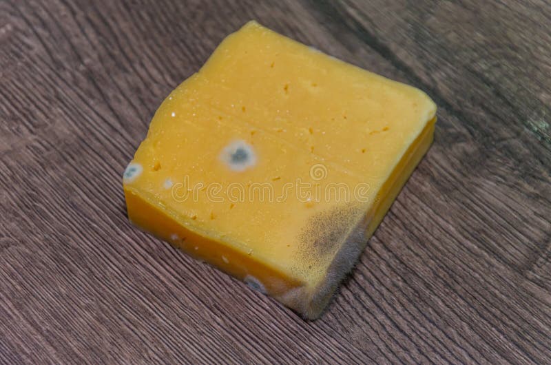 Spoiled Moldy Cheese on the Table Stock Photo - Image of spoiled, table ...