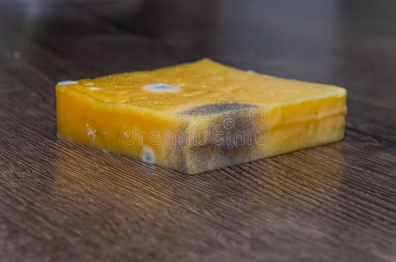 Spoiled Moldy Cheese on the Table Stock Photo - Image of dairy, cheese ...