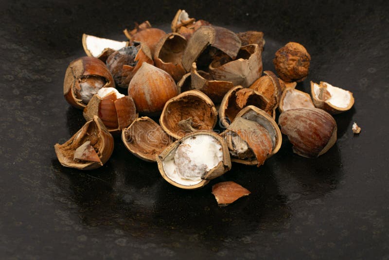 238 Spoiled Nut Stock Photos - Free & Royalty-Free Stock Photos from ...