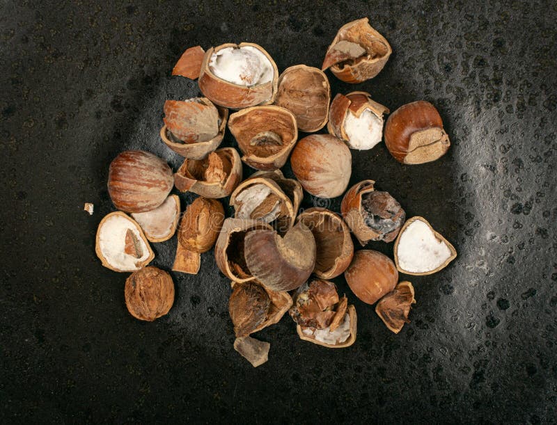 205 Rotten Nuts Stock Photos - Free & Royalty-Free Stock Photos from ...